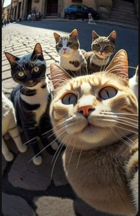 Group Chat Pfp Ideas