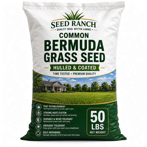 Bermuda Grass For Pasture Seed World