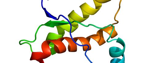 What Are Prions Office For Science And Society Mcgill University