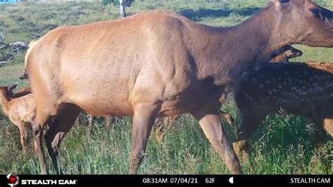 Aught Six Ranch Home Facebook