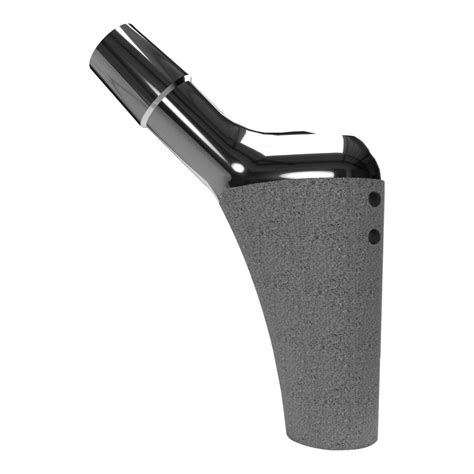 Modular Femoral Body Aysam Aysam