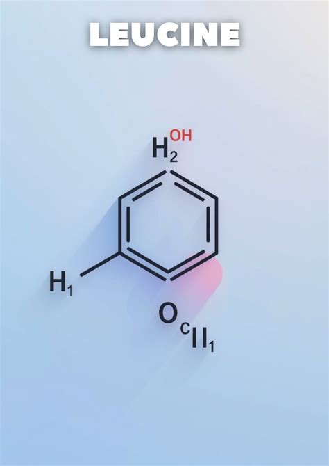 Leucine