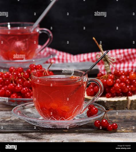 Beeren Von Viburnum Stockfotos Und Bilder Kaufen Alamy