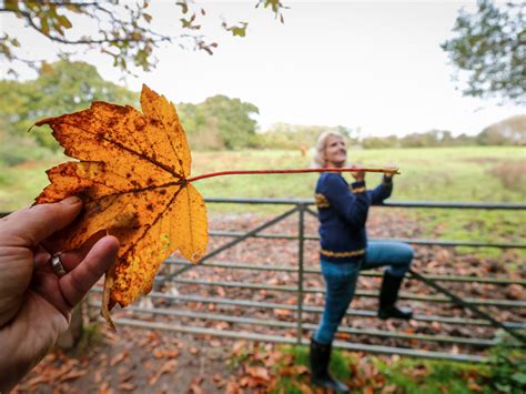 Forced Perspective Photography In 9 Optical Illusions