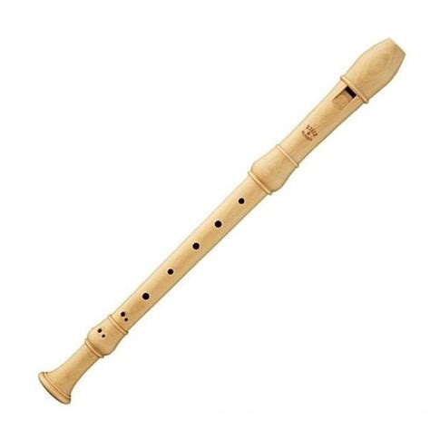 Flauta Instrumento Musical Historia At Joel Morton Blog