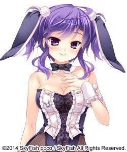 Serika Kozuka From Bunny Paradise
