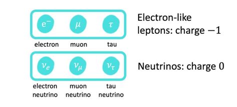 Elementary Particles Quarks Leptons And Elementary Bosons For A Level