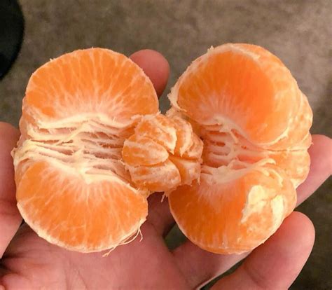 Pink Inside Oranges At David Headrick Blog