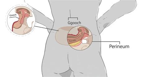 What Does Gooch Mean Slang Definition Proper Term And Usage