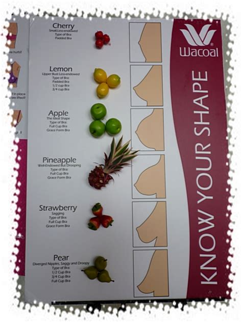 Fruit Breast Shape Chart