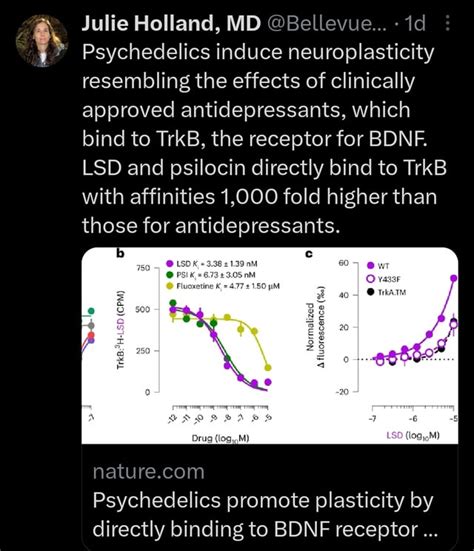 Trichoderma Rshrooms