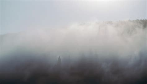Premium Ai Image Fog Background Texture