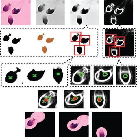 masking procedure of proposed technique on image containing multiple