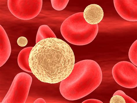 Hyperlipidemia Causes Symptoms And Treatment Usa Health Articles