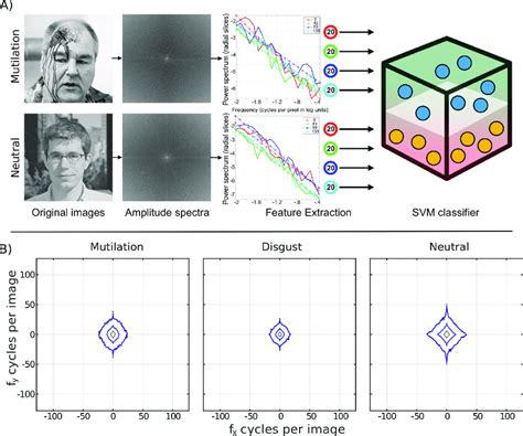 The Upper Panel Illustrates The Support Vector Machine Svm