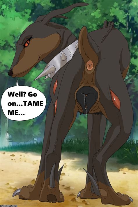 Rule 34 Absurd Res Animal Genitalia Animal Pussy Anus Backlash91