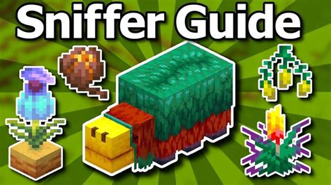 Ultimate Minecraft 1 21 Sniffer Guide Eggs Snifflet Torchflower