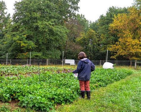 Research Grants Greenacres Foundation