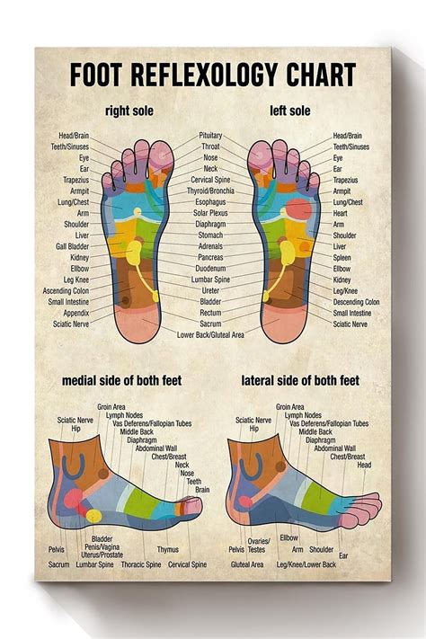 Massage Therapist Foot Reflexology Chart Canvas Shipping From The Us