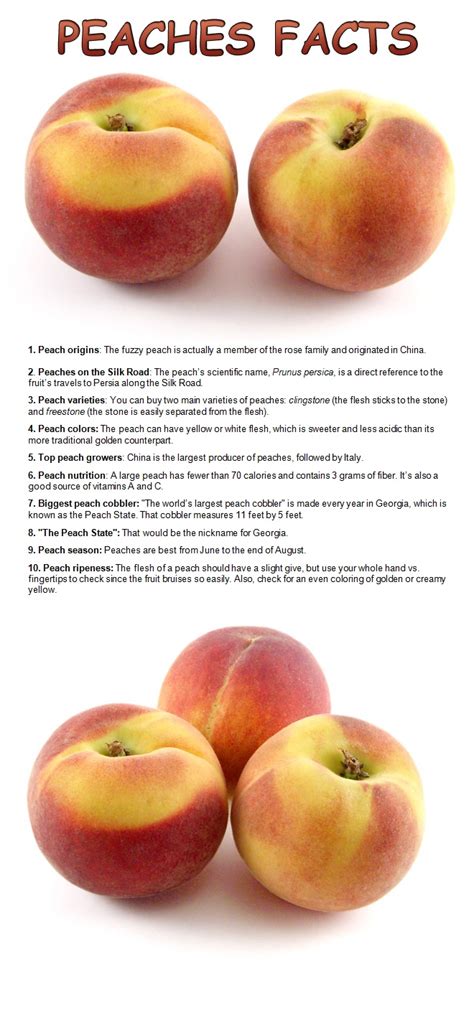 Peaches Facts