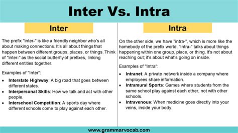 Inter Vs Intra Which Form Is Correct Grammarvocab