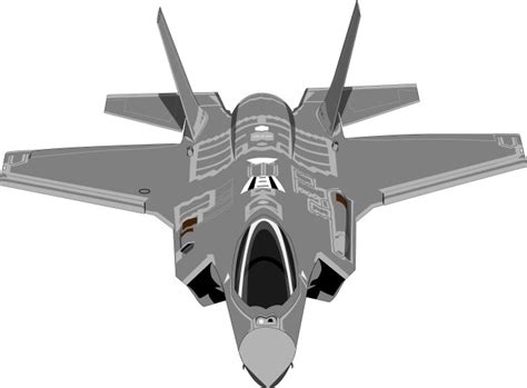 Front View On Cute Realistic Fly Standing White Vector Image