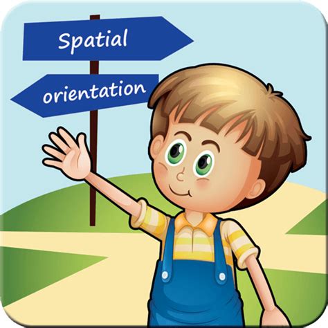 Spatial Orientation 7th Grade Quiz Quizizz