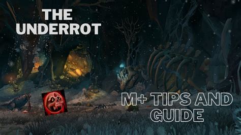 The Underrot Season 2 Dragonflight M Guide Youtube