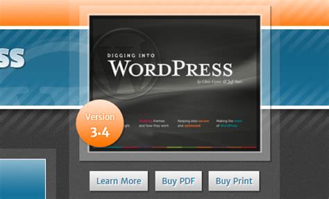 Remove Borders Outlines In IE WP Mix
