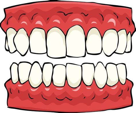 Teeth Vector Images Over 160000