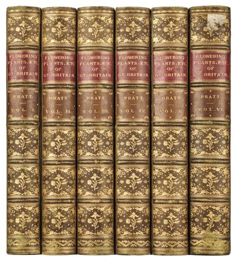 Pratt Anne The Flowering Plants Grasses Sedges 6 Vols 1873