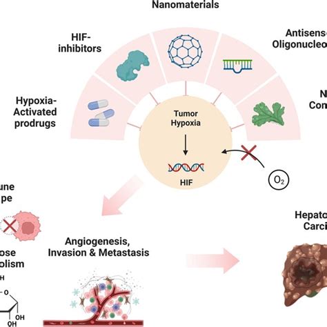 Schematic Overview Of Review Article The Figure Was Created With Download Scientific Diagram
