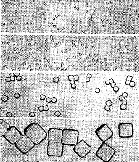 Electron Micrographs Of Some Monodisperse Silver Halide Precipitates