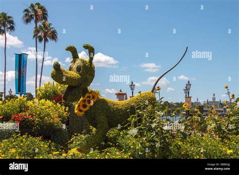 The Pluto Cartoon Character At The Flower And Garden Topiary Festival Epcot Amusement Park