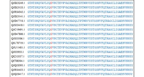 Msa Of 1247 Sequences Determined That 63 Sequences Consisted Of The