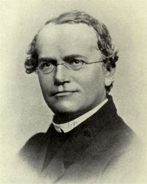 Gregor Mendel Genetics Peas Experiments Britannica