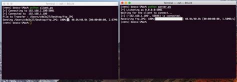 Python Filetransfer Clientserver Project Development Innovation