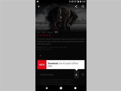 Netflix Launches Downloads For Offline Viewing