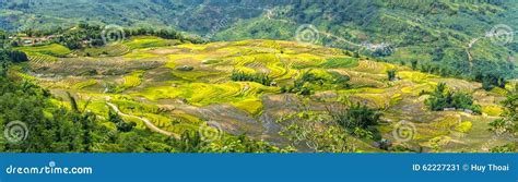 Terraces Panoramic Hillside Stock Image Image Of Harvesting Food