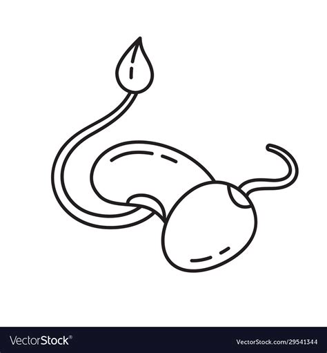 Bean Sprout Drawing At Russell Canter Blog