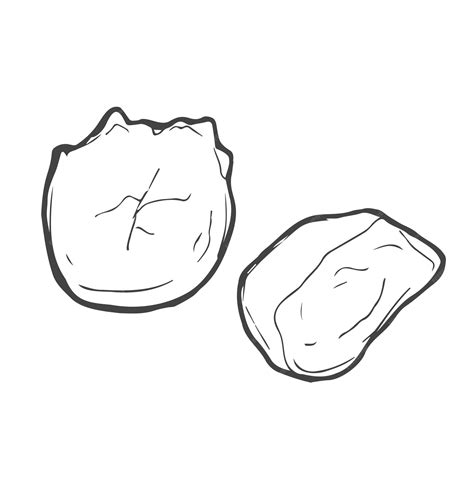 Premium Vector Doodle Mozarella Cheese