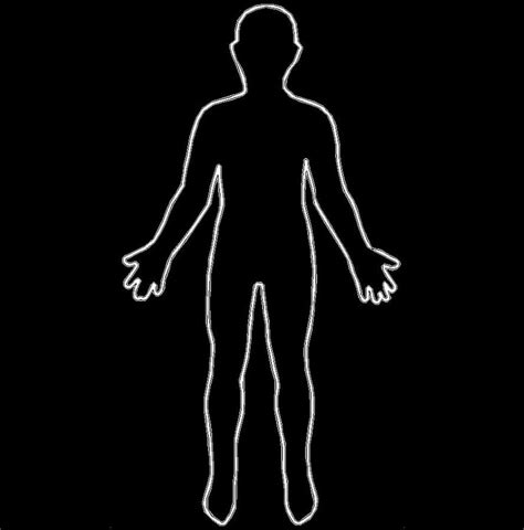 Digital Body Movement Digital Body Movement Free Download Borrow