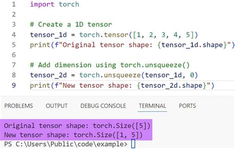 How To Add Dimension In Pytorch