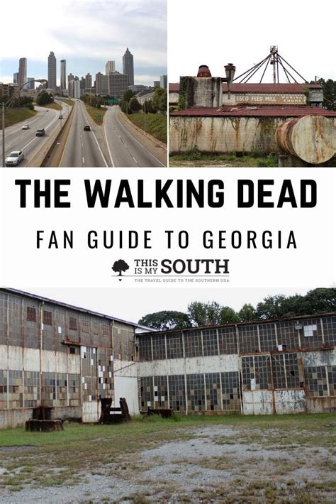 The Ultimate Walking Dead Fan Guide To Georgia Artofit