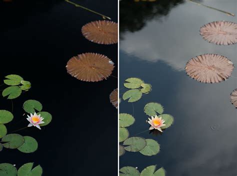 Difference Between Linear And Circular Polarizing Filter At Will Bracy Blog Difference Between Linear And Circular Polarizing Filter At Will Bracy Blog