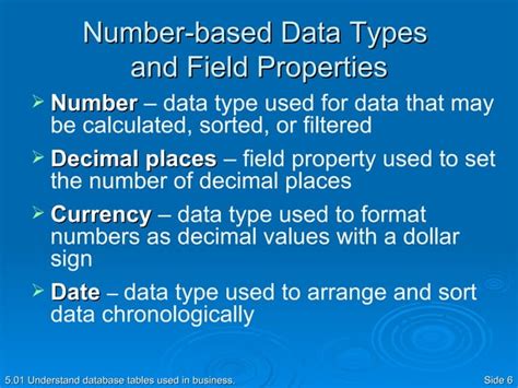 Data Types And Field Properties Ppt
