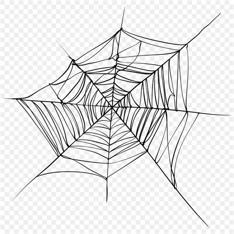 Telarañas Png Dibujos Dibujo De Araña Bosquejo De Araña Araña Png Y