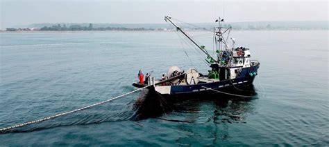 Women On The Waterfront Tah Mahs Ellie Kinley Maritime Washington
