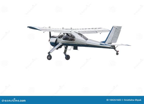 The Small Flying Fox Island Flying Fox Or Variable Flying Fox Pteropus Hypomelanus On The Stone