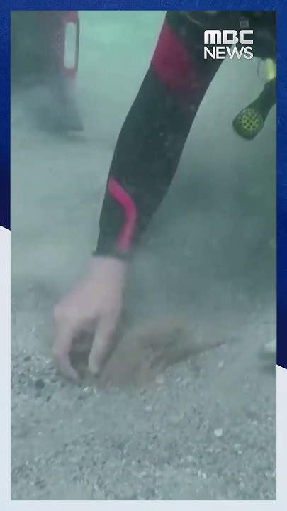 이탈리아 바다에서 고대 동전 발견 Shorts Mbc뉴스 Youtube